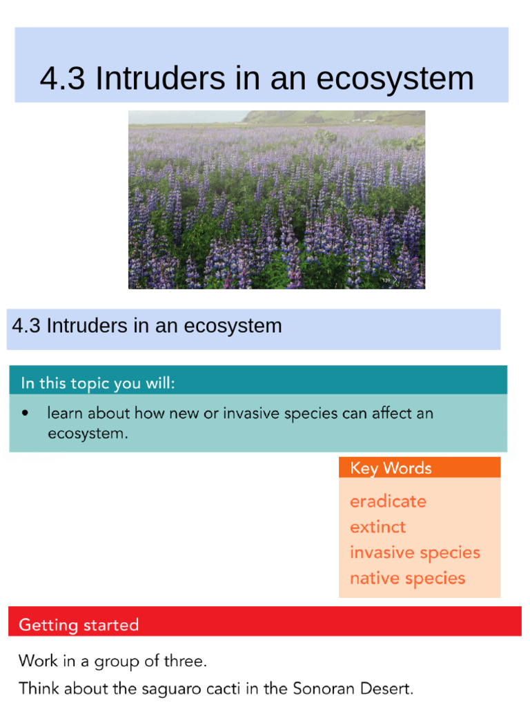 Ecosystem Intruders Explained | PDF