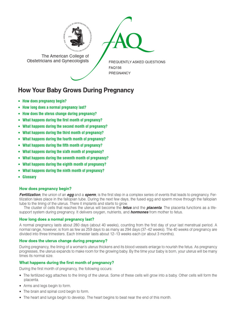 Pregnancy Duration and Development Stages | PDF | Pregnancy | Uterus