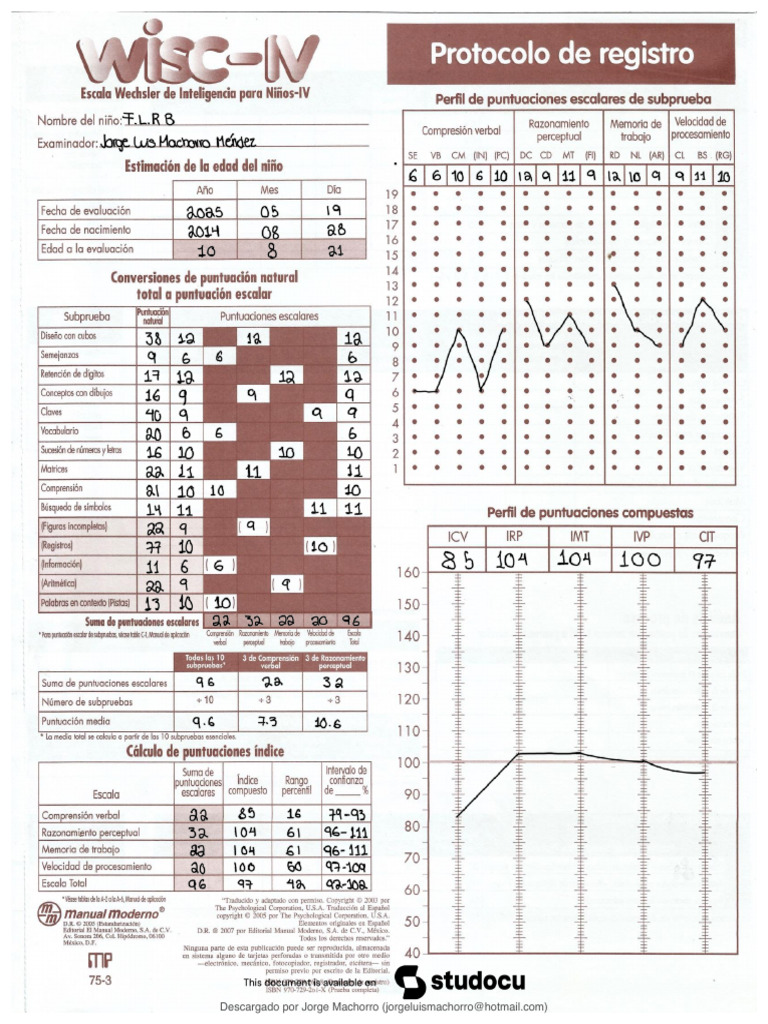Protocolo General Wisc 2 | PDF