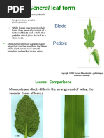Adaptations of The Leaf For Photosynthesis and Gaseous Exchange | PDF ...