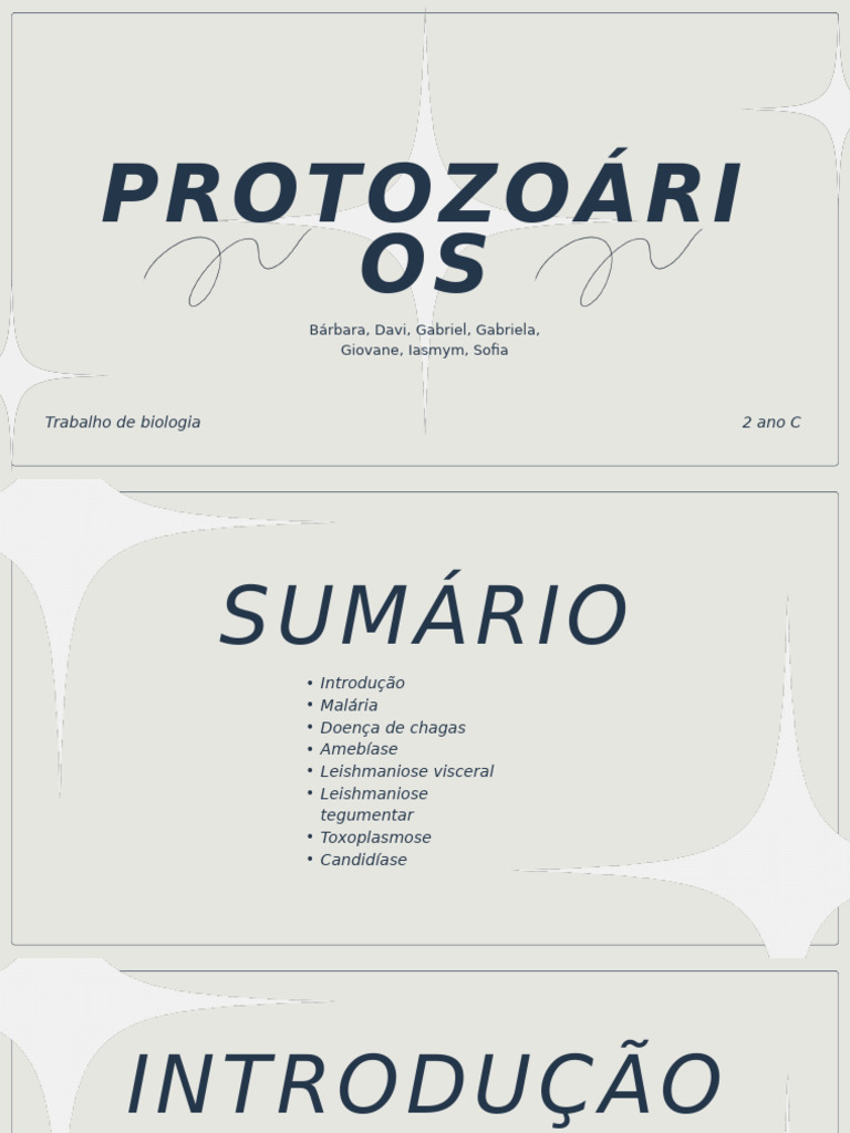 Protozoarios 20250601 223022 0000 | PDF | Malária | Plasmodium