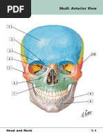 Extraoral Anatomical Landmarks Guide | PDF | Skull | Human Head And Neck