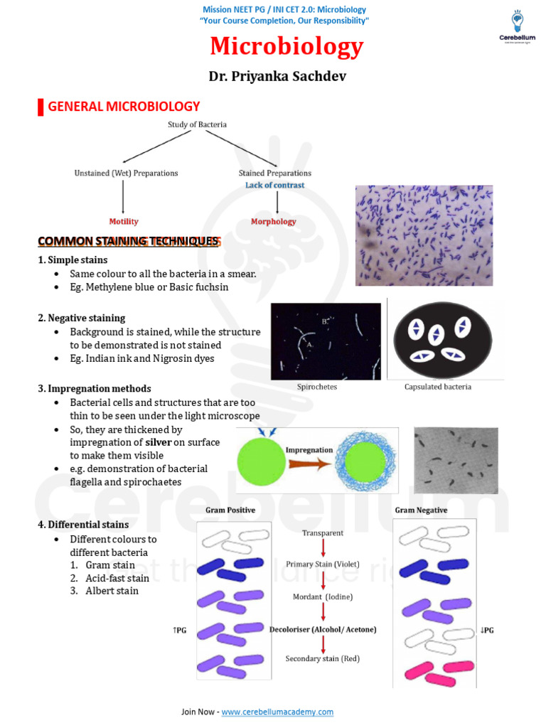 Complete Microbiology Workbook | PDF | Sterilization (Microbiology ...