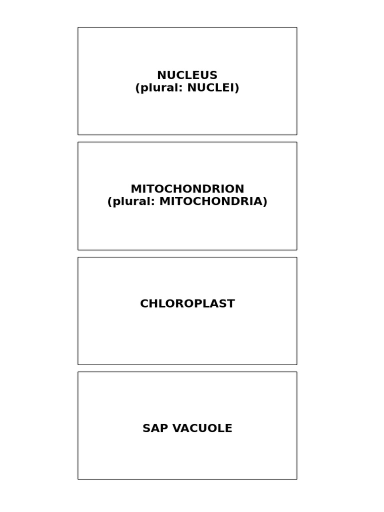 Y7 - Cell Parts Memory Game. | PDF