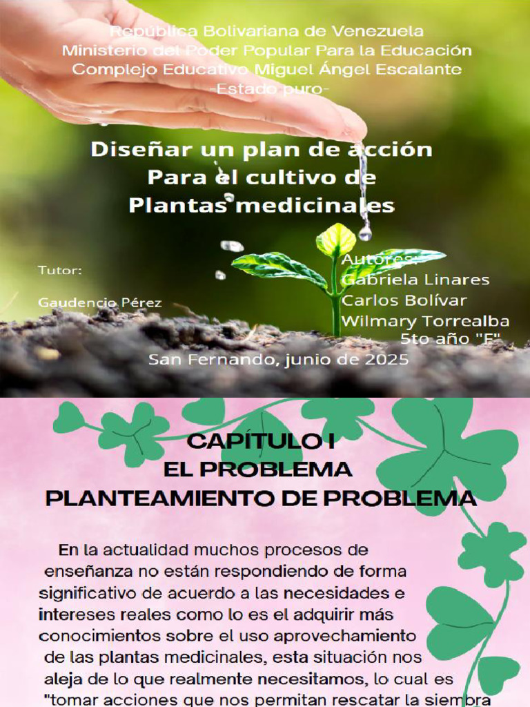 Laminas Carlos | PDF