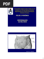 Anatomia do Períneo: Estruturas e Funções | PDF | Pélvis