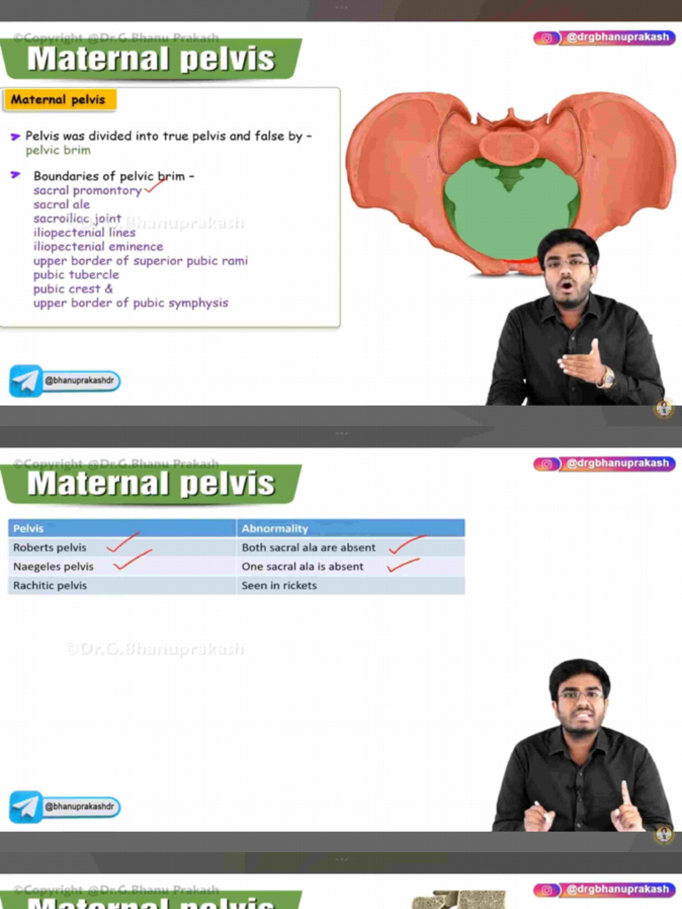 Female Pelvis | PDF