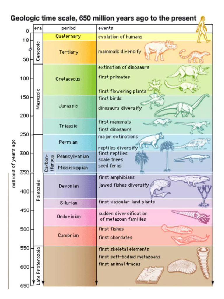 Geologic Time Scale | PDF