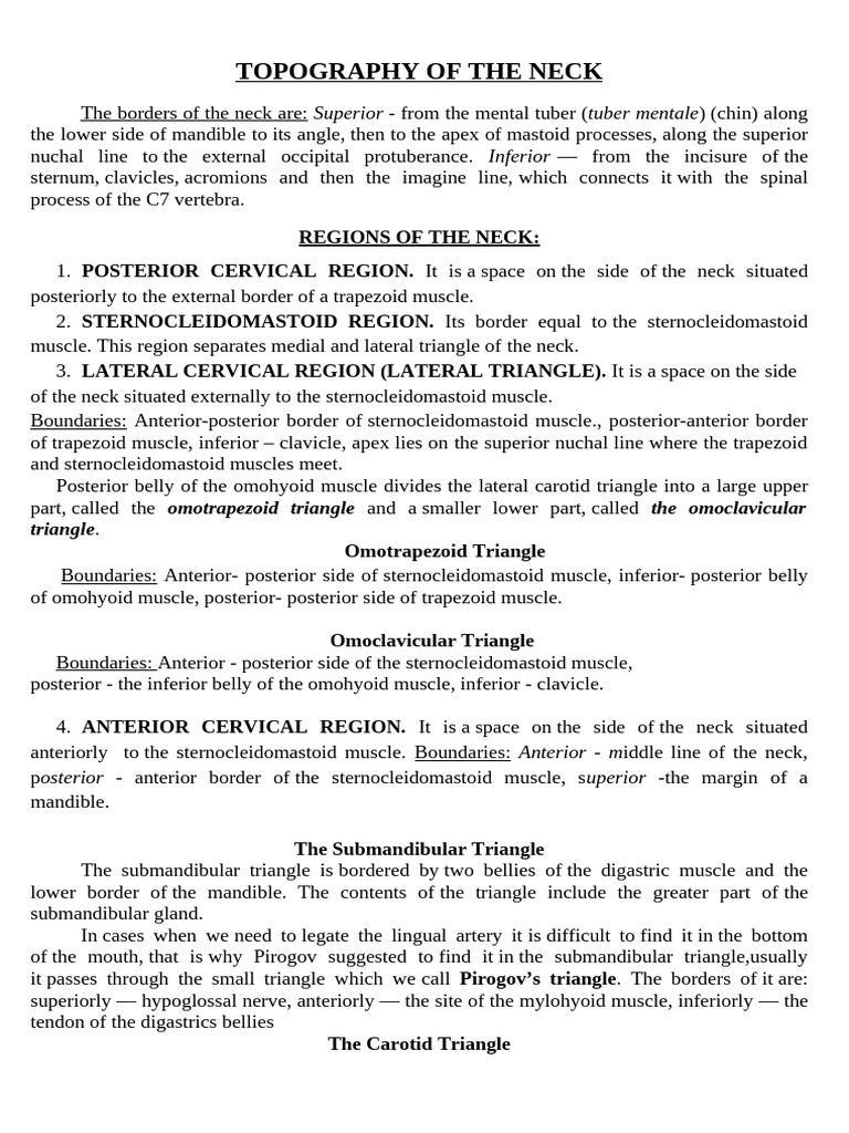 Topography of The Neck | PDF | Neck | Common Carotid Artery