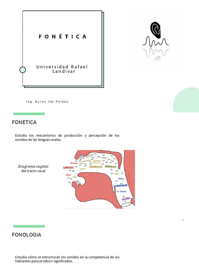 Fundamentos de Fonética y Fonología | PDF | Lingüística | Fonética