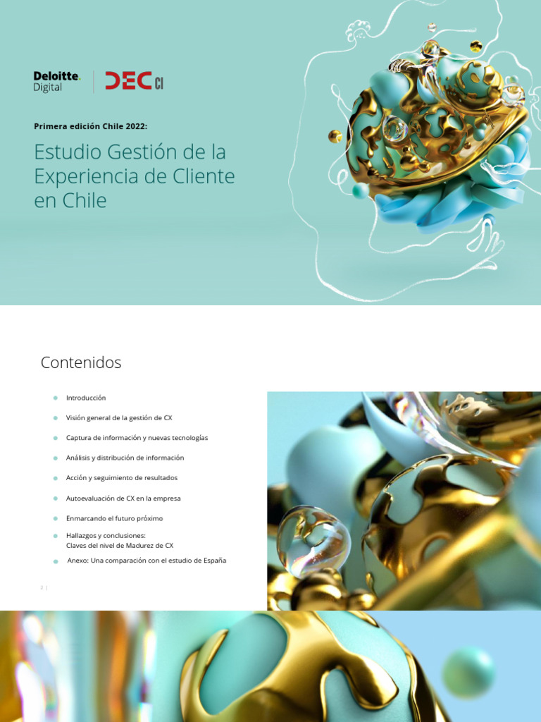 2025 2C 03 SIM Reporte de Resultados Estudio CX DEC Deloitte - Mayo2022 | PDF | Metodología de ...