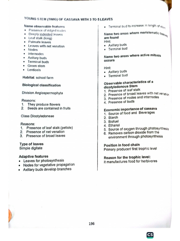 Cassava Stem | PDF