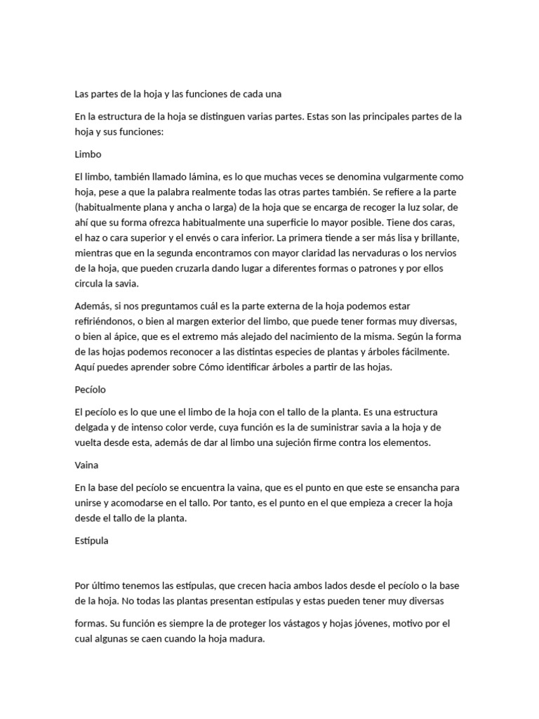 Las Partes de La Hoja y Las Funciones | PDF | Hoja | Plantas