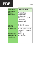 Ficha Técnica Del Pasto Guinea (Panicum Máximum Cv. Guinea Común) | PDF