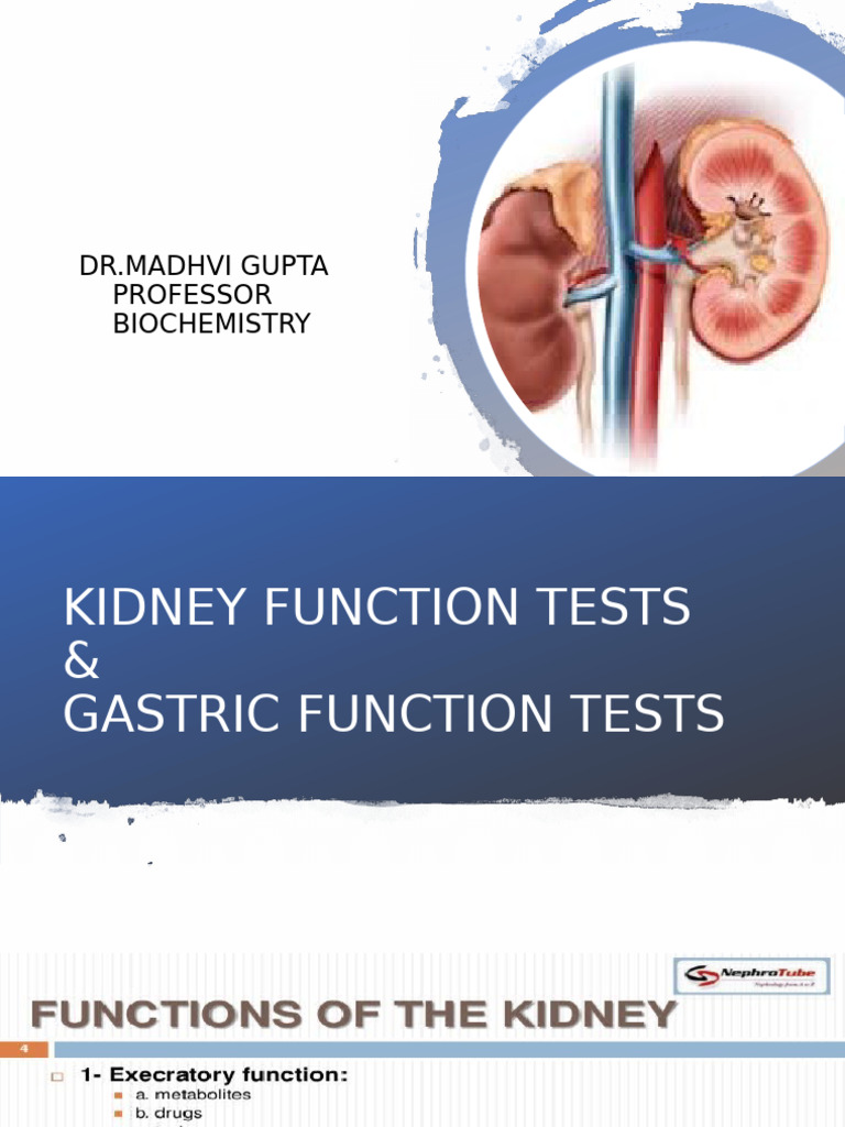 Kft Gft Pdf
