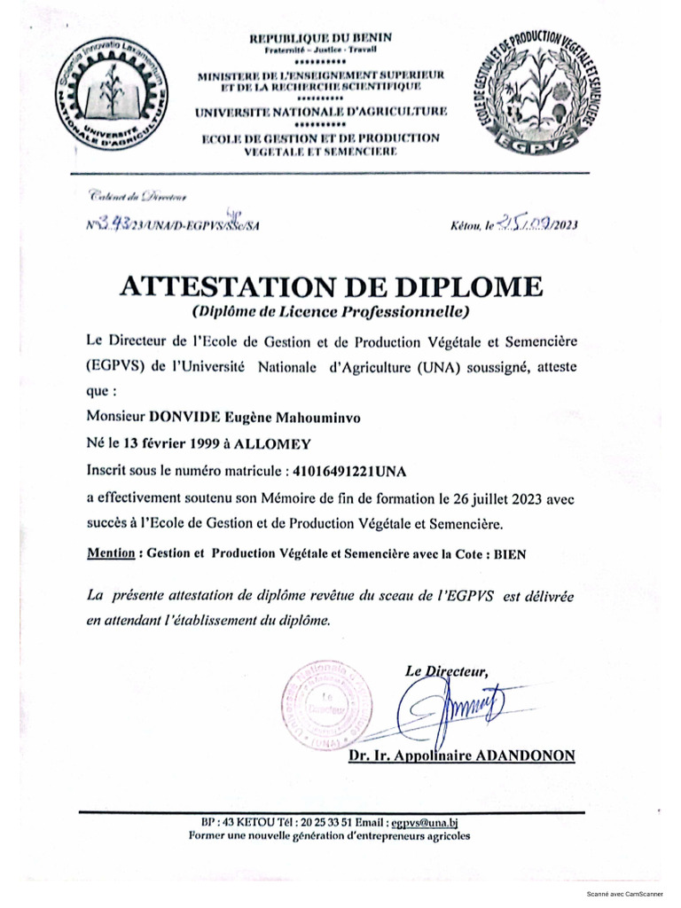 Diplôme Licence Professionnelle 2023 | PDF