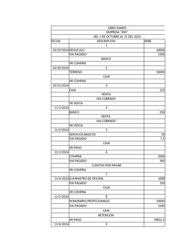 Libro Diario y Balance 2024 Empresa XXX | PDF