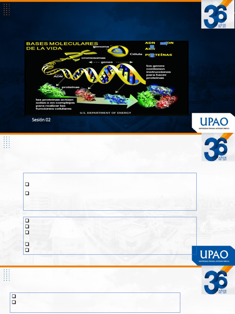 s2_ppt_ Bases Moleculares | PDF | Cromatina | Rna