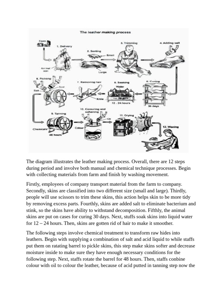 The Diagram Illustrates The Leather Making Process | PDF