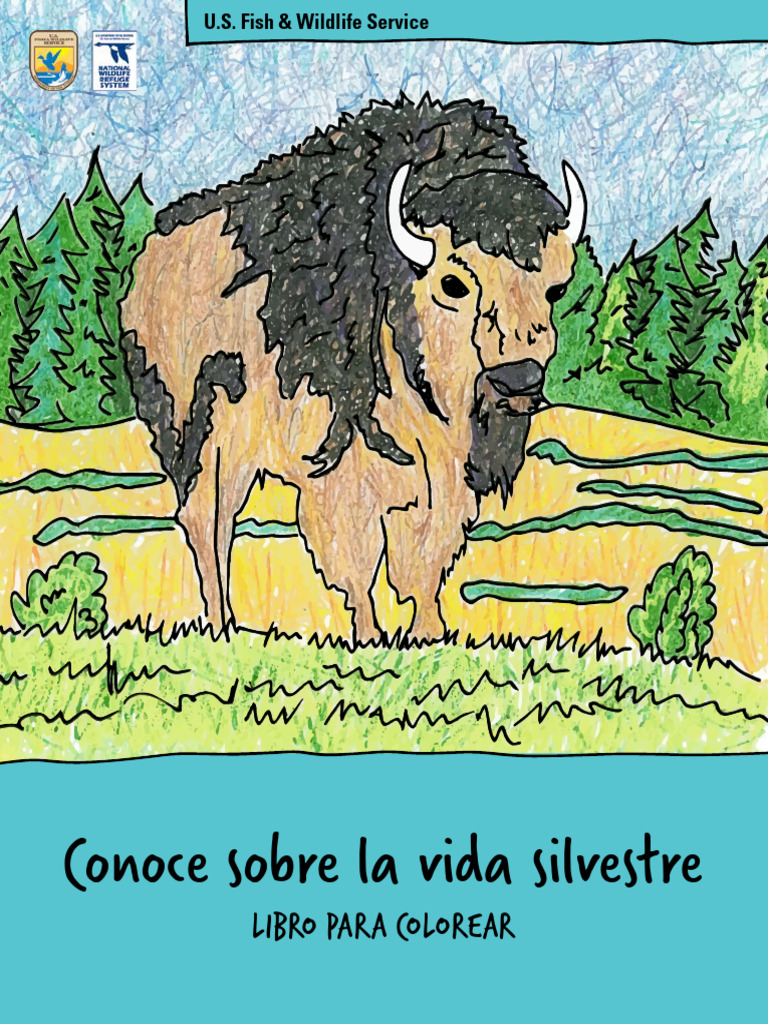 Wildlife Champs Coloring Book Spanish | PDF | Oso polar | Osos