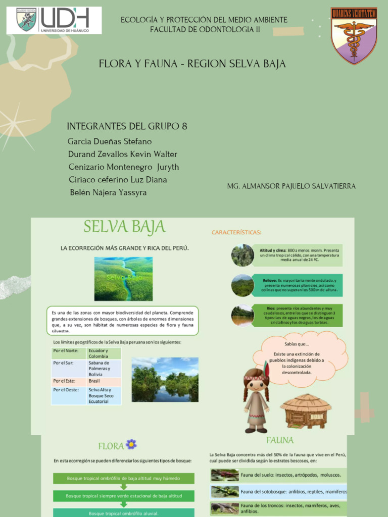 Pathogens and Communicable Diseases Education Presentation in Light ...