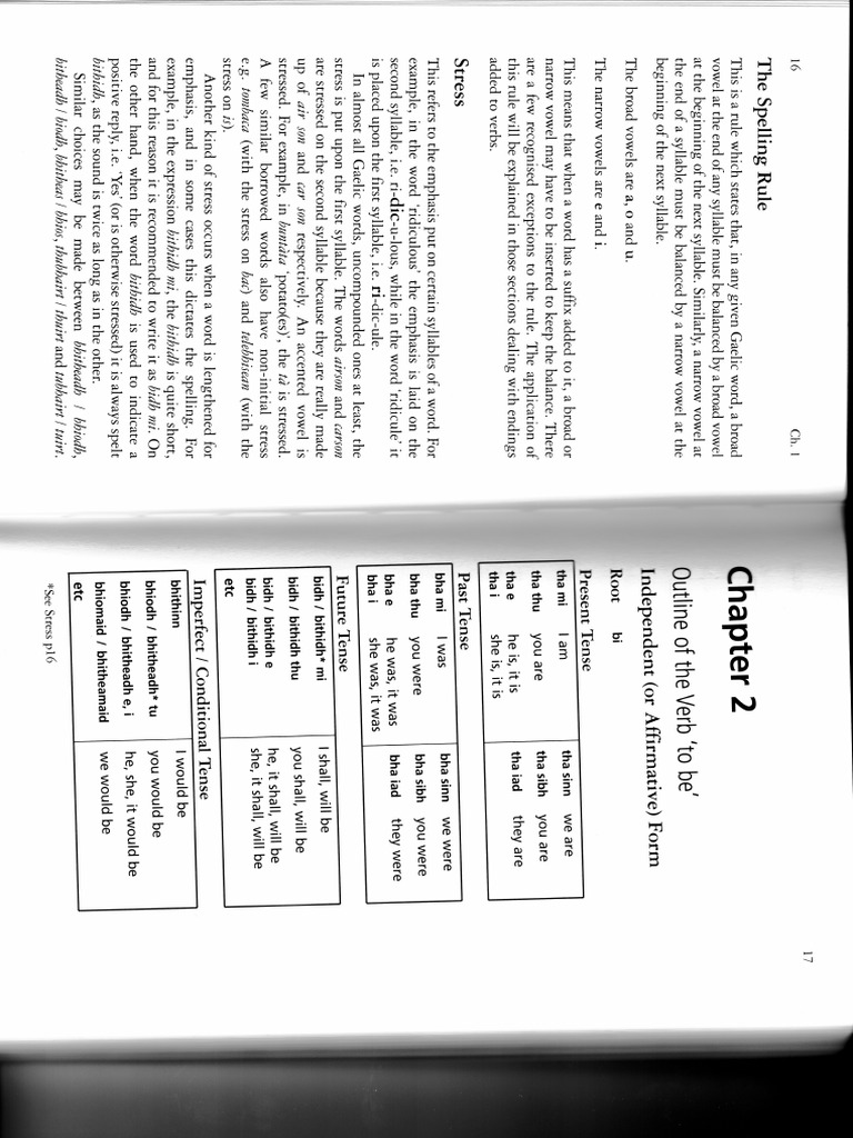 Scottish Gàidhlig Verbs | PDF