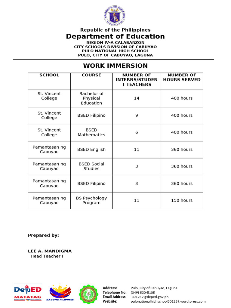 Computation Work Immersion | PDF
