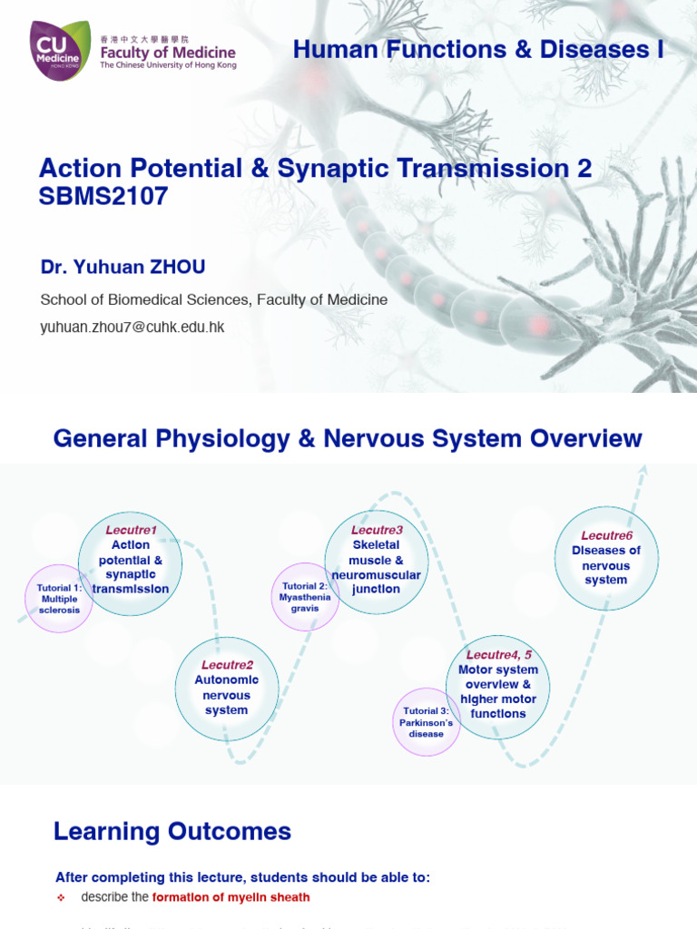 2526 - SBMS2107 - ActionPotential & SynapticTransmission 2 - YZ | PDF ...