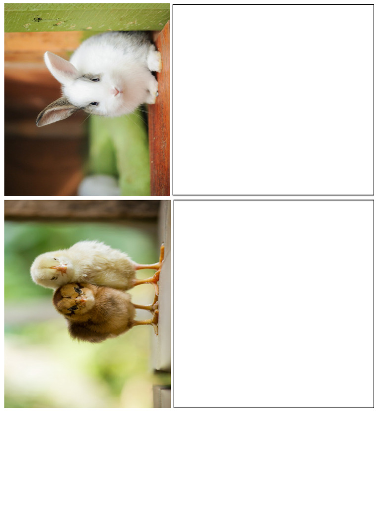 Descriptive Text Worksheet | PDF