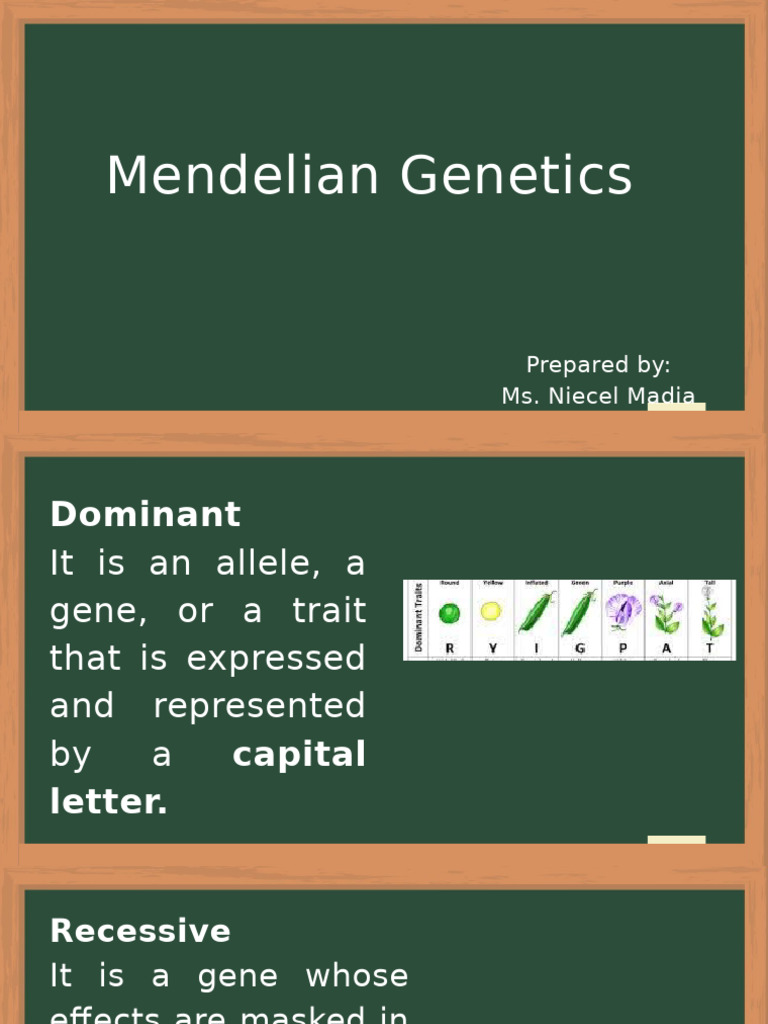 Introduction to Mendelian Genetics | PDF