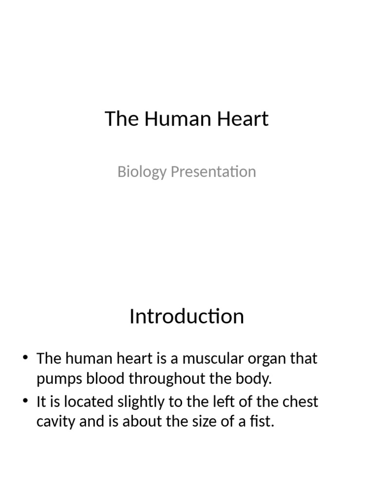 Human Heart Presentation | PDF
