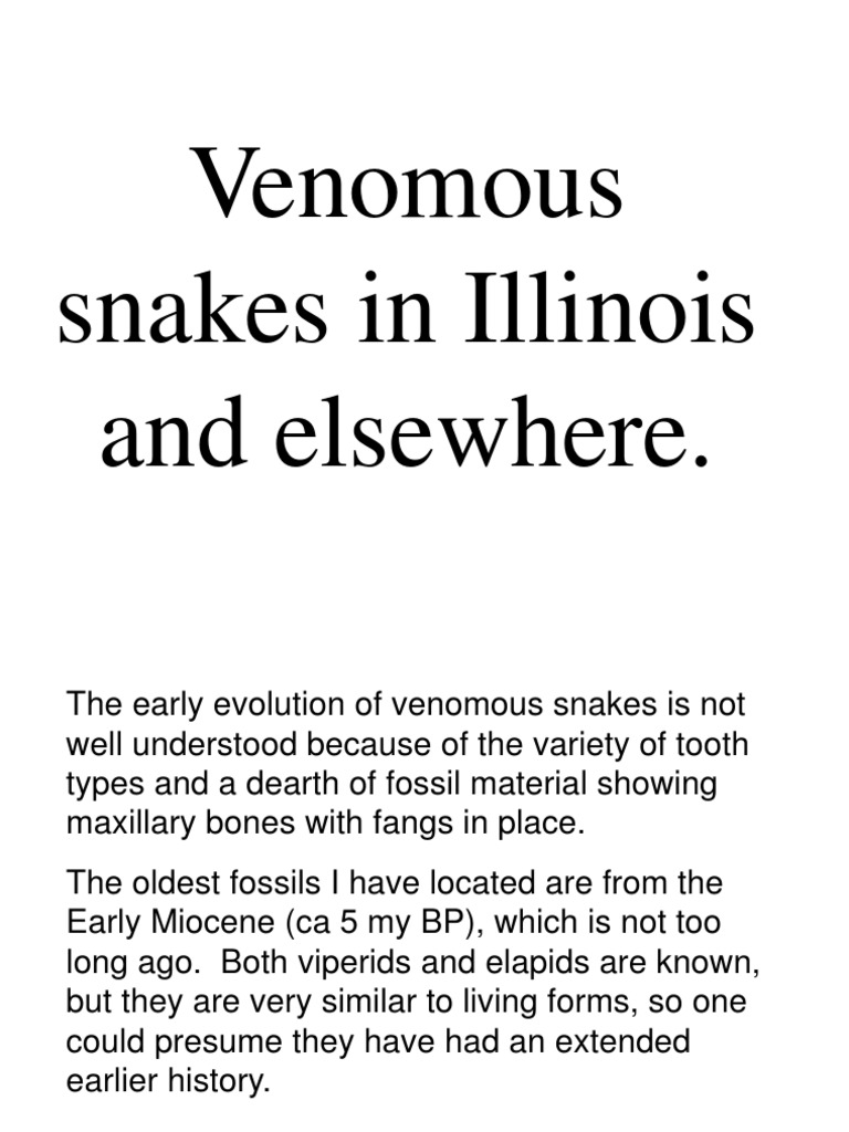 016 Fanged + Venomous Snakes | PDF | Snake | Predators