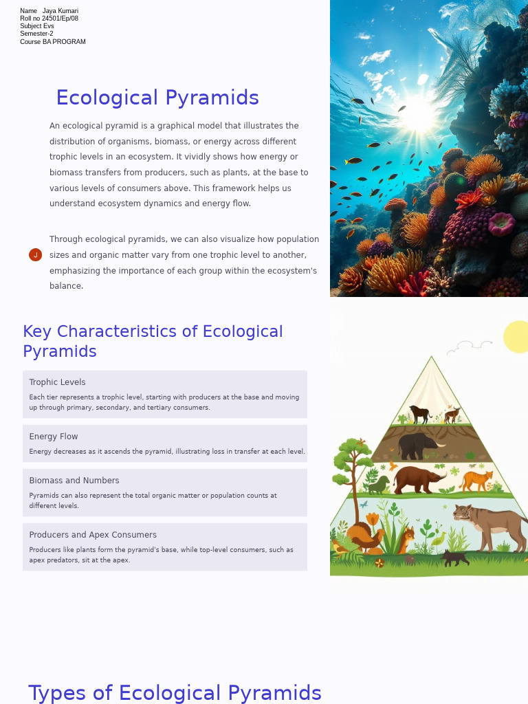 Ecological Pyramids | PDF | Food Web | Biomass (Ecology)