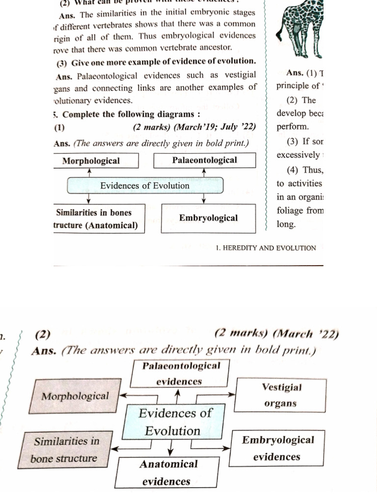 STD 10 Science 2 Chap 1 | PDF