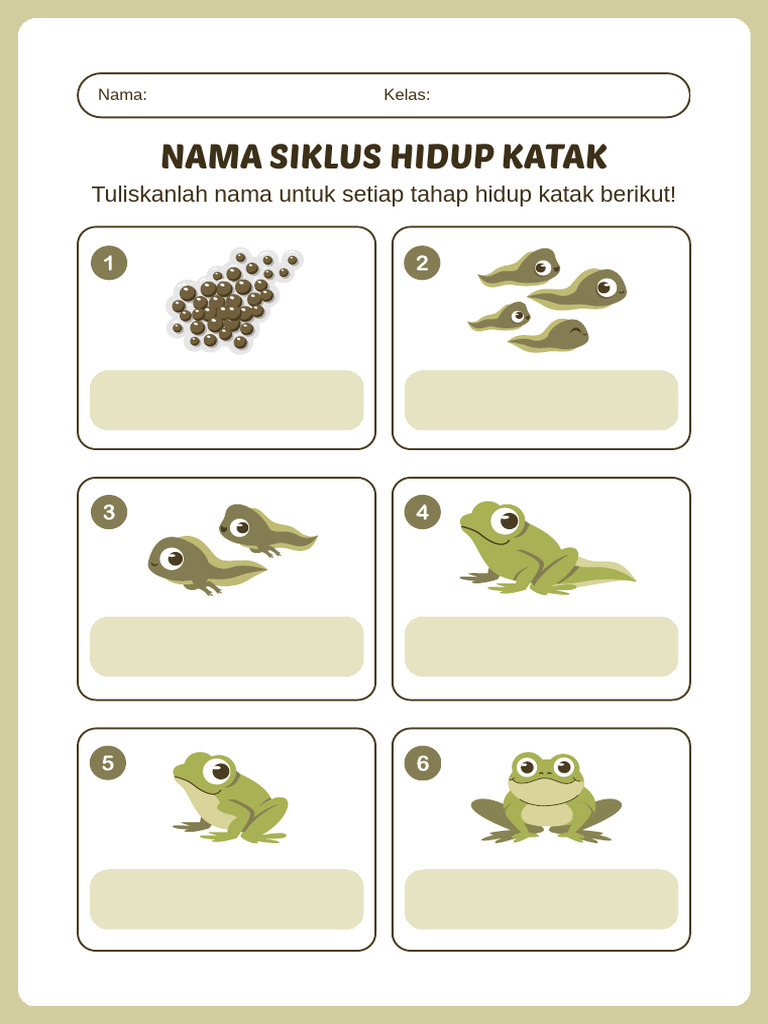 Identifikasi Nama Siklus Hidup Katak Lembar Kerja Hijau Ilustrasi | PDF