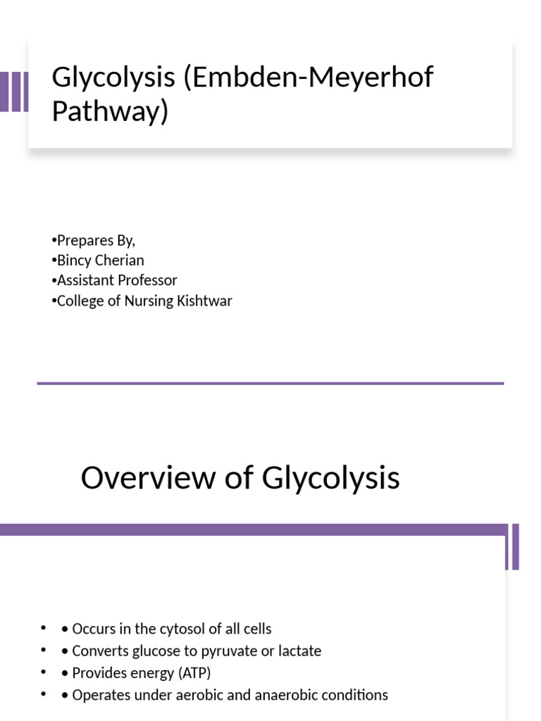 Glycolysis Overview and Key Insights | PDF
