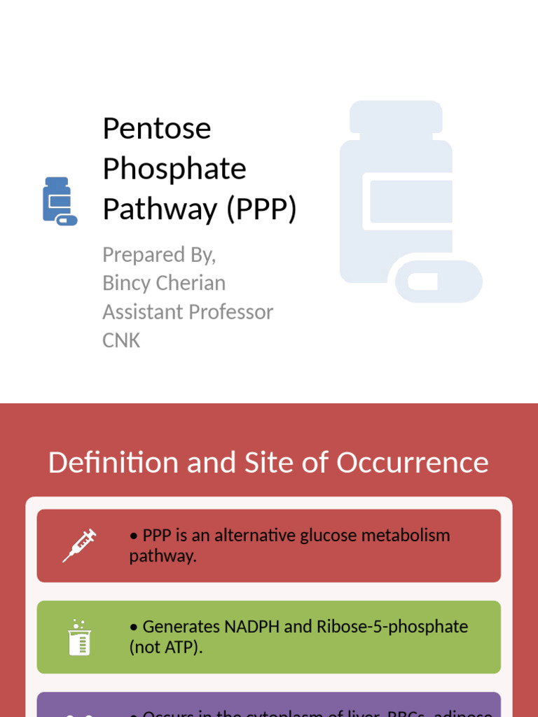 Overview of the Pentose Phosphate Pathway | PDF