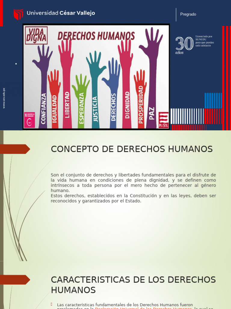 Concepto y Clasificación de Derechos Humanos | PDF | Derechos humanos ...