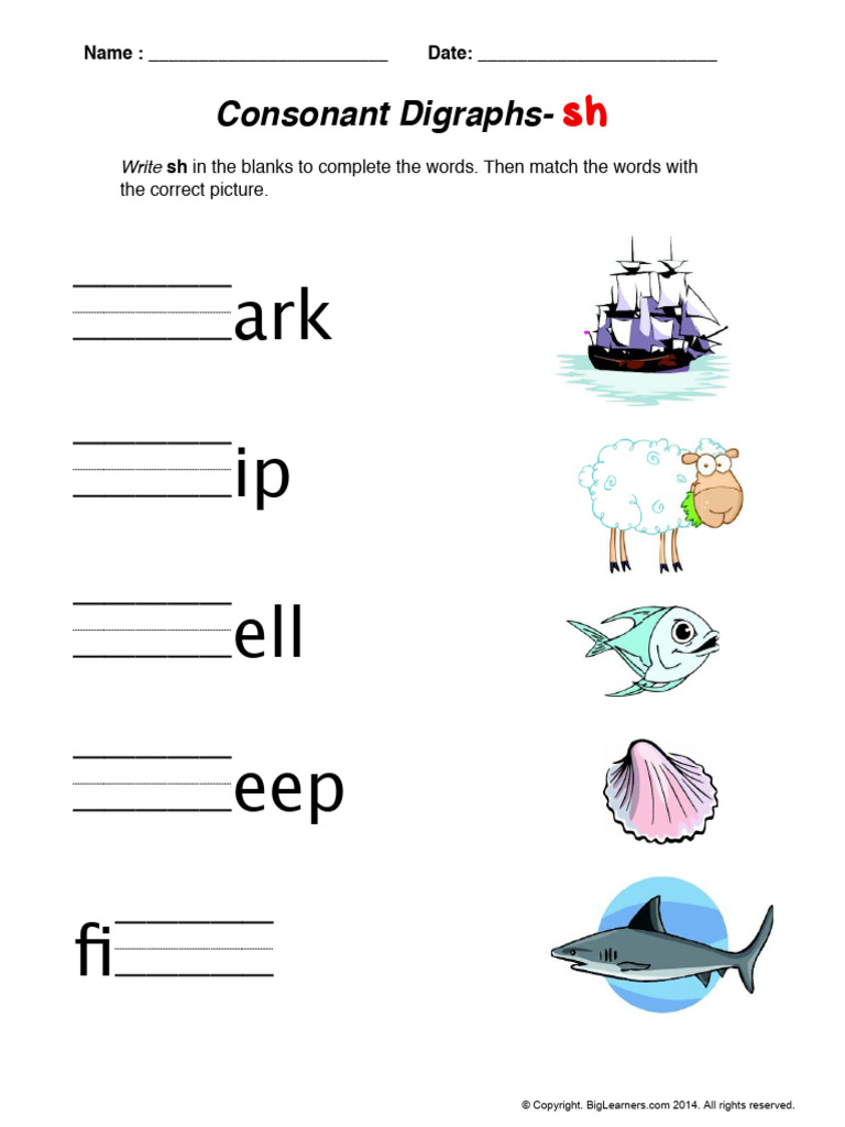 Consonant Digraphs: 'sh' Worksheet | PDF