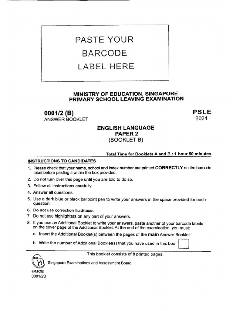 PSLE English 2024 Paper 2 Booklet B | PDF