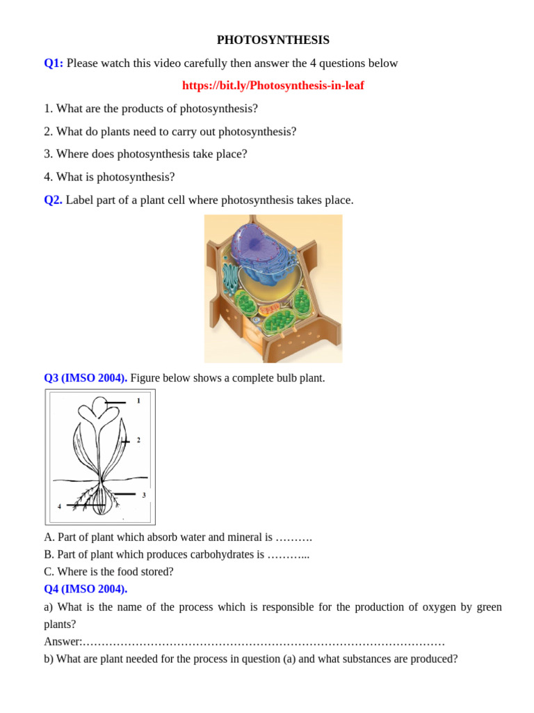 Photosynthesis - 3 | PDF