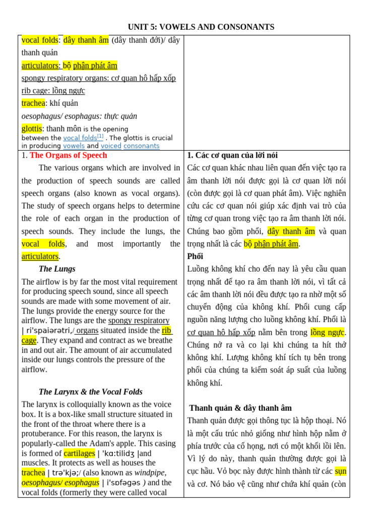 UNIT 5 - Consonants and Vowels - Translate | PDF