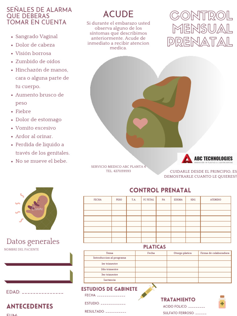 Carnet Control Embarazo | PDF | El embarazo | Medicina