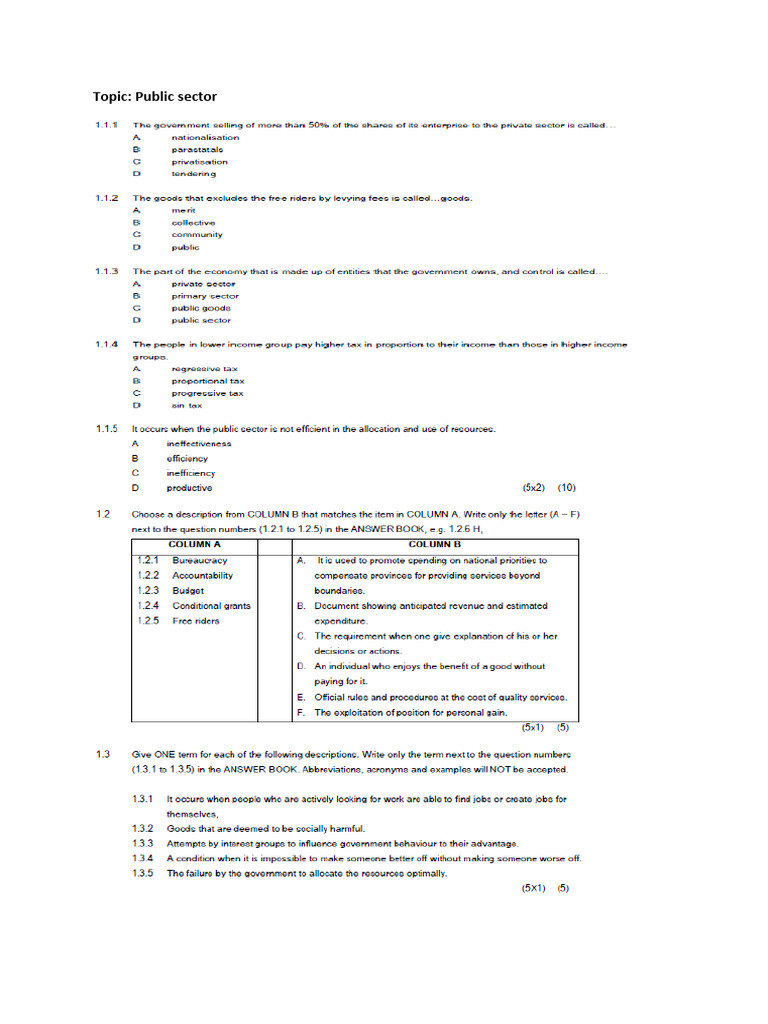 Grade 12 Public Sector Revision Qs | PDF