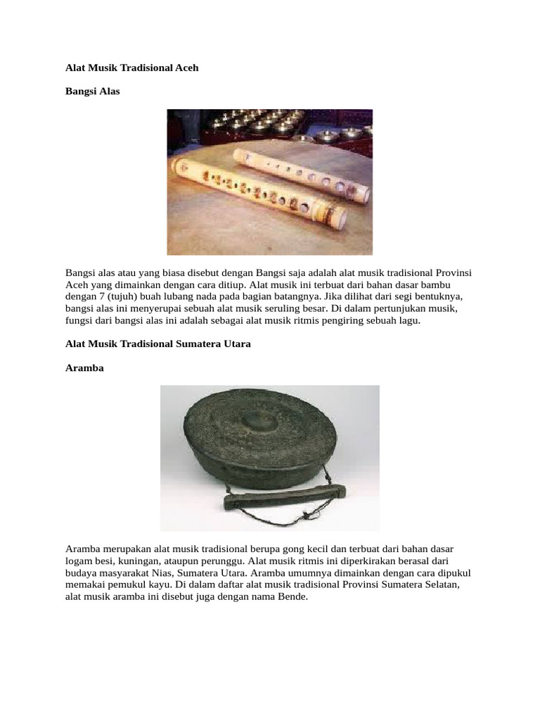 Alat Musik Tradisional | PDF
