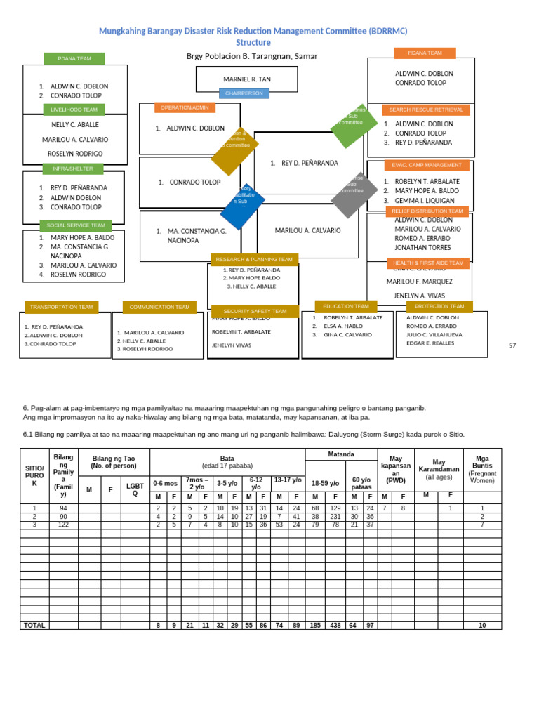 BDRRMC Structure & Ppa's | PDF