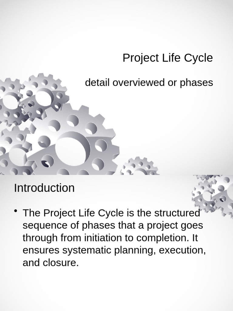 Overview of Project Life Cycle Phases | PDF