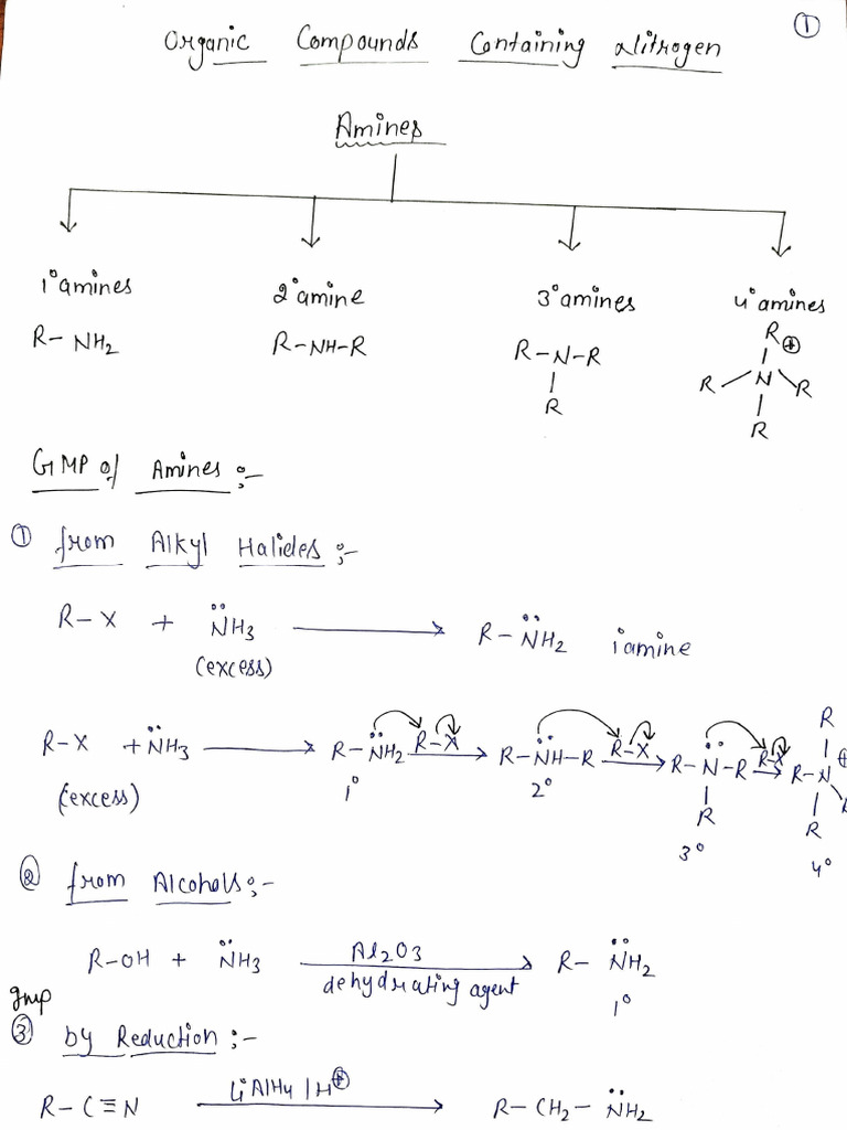 Amines | PDF