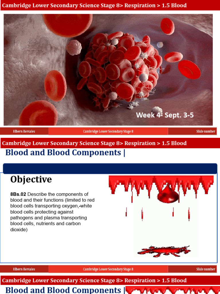 Blood Components and Functions Explained | PDF | Blood | Red Blood Cell