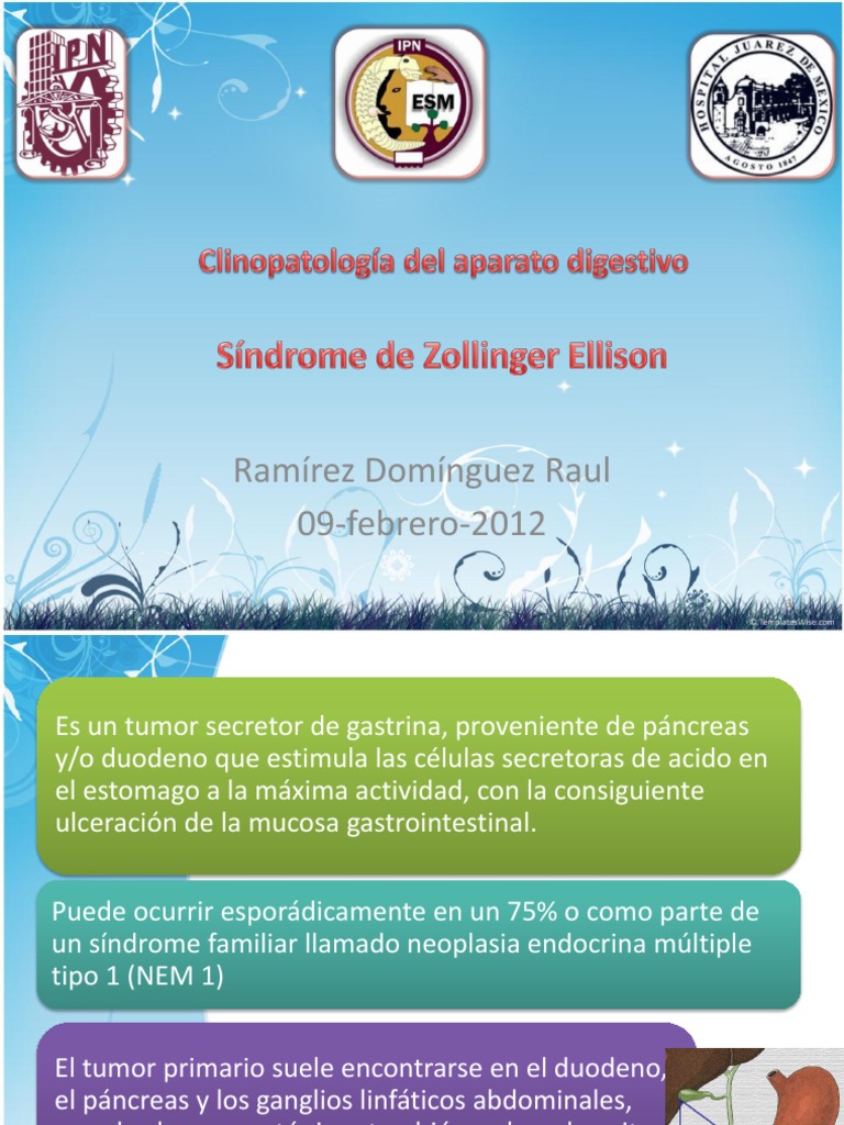 Zollinger Ellison Sindrome